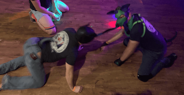 What is Pup/Pet/Critter Play? - North & Central Florida Pets & Handlers